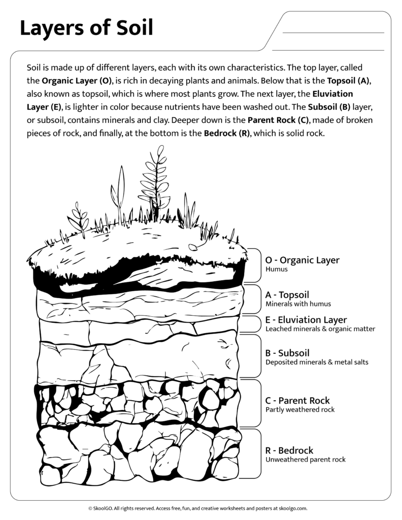Free Printable Worksheets On Soil Layers - Worksheets HQ